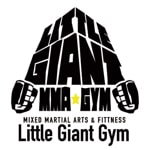 Little Giant Gym | カクトウギシリタイ